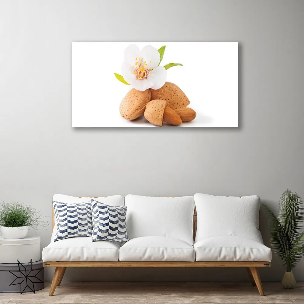 Obraz na plátně Květ Pistácie Příroda 120x60 cm