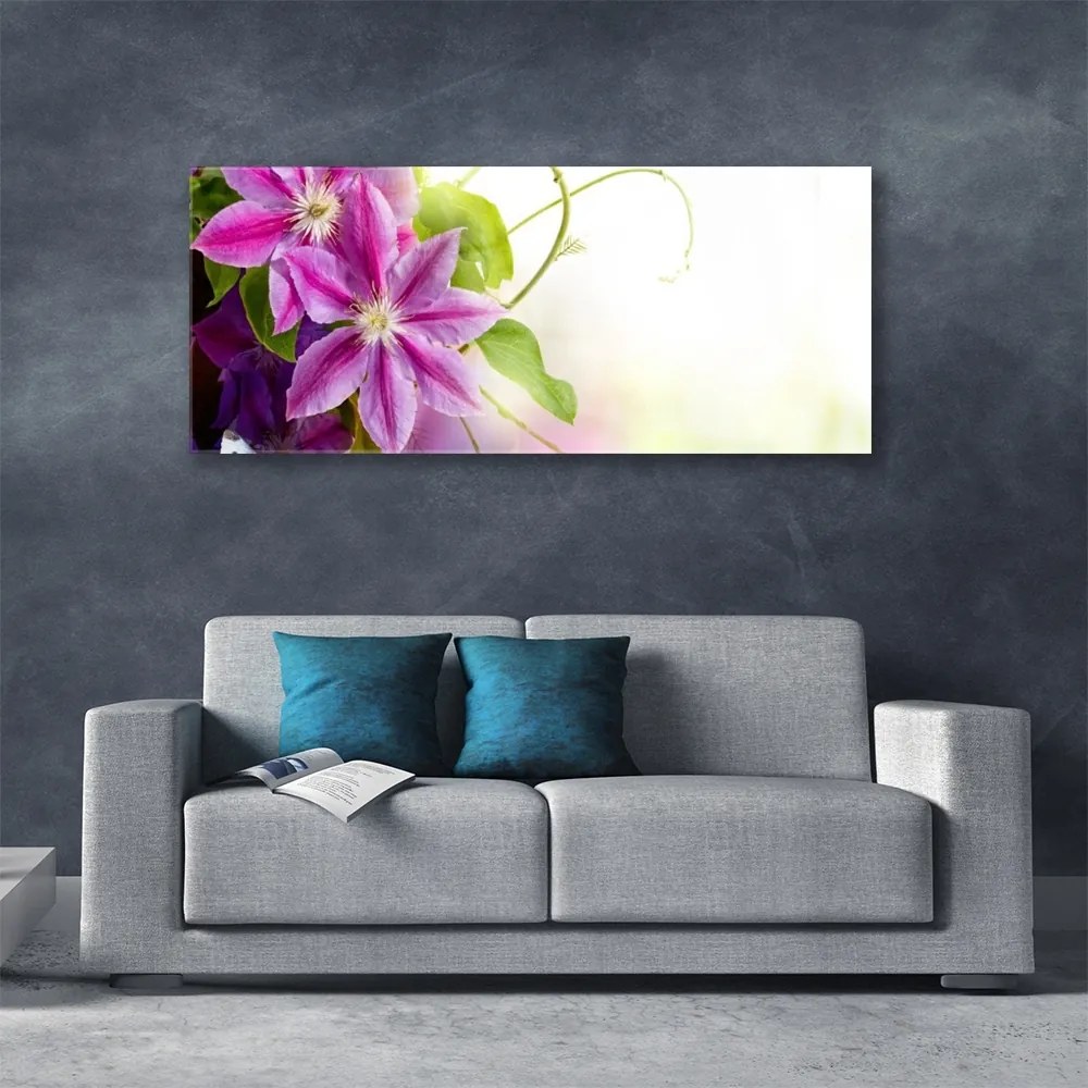 Plexisklo-obraz Květiny Příroda 125x50 cm