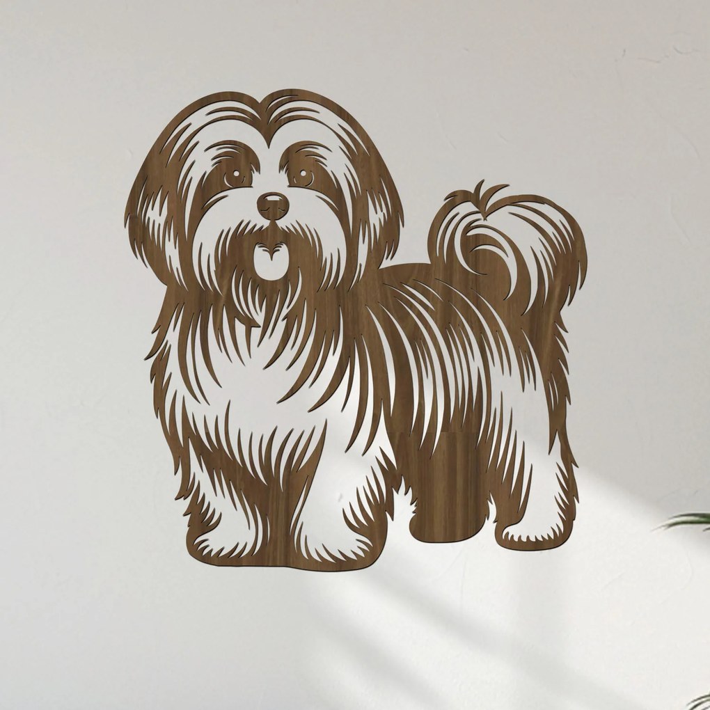 dřevo života Dřevěný obraz Havanský psík (Havanese) Rozměry (cm): 57x60, Zvolte barvu dekoru: Ořech