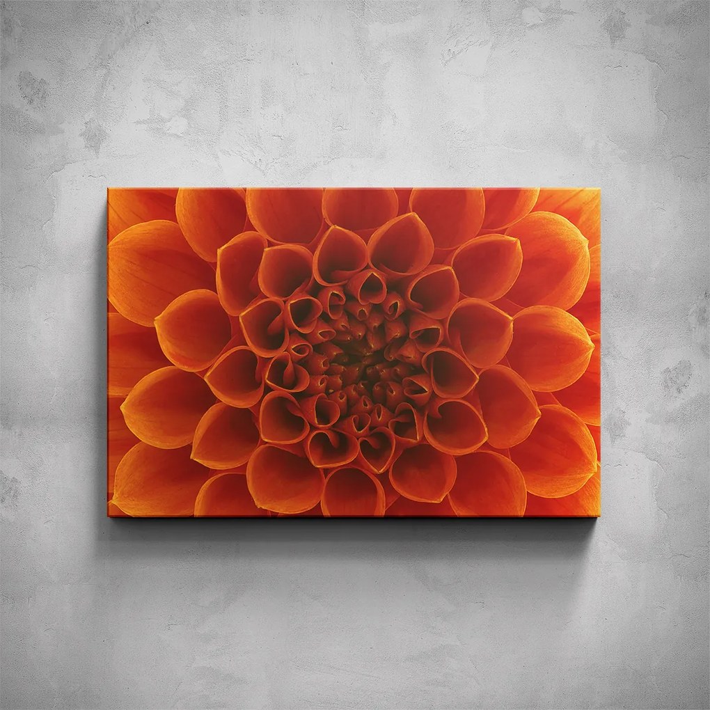 Obraz - Oranžový květ detail - PopyDesign