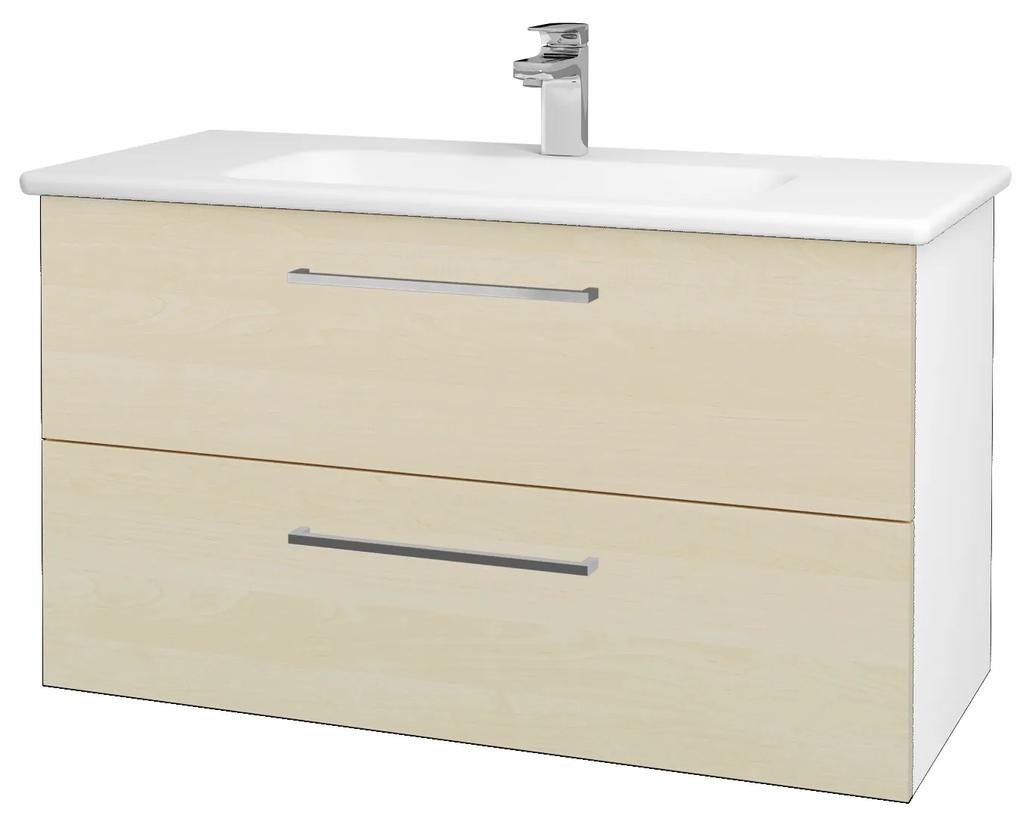 Dřevojas Koupelnová skříň GIO SZZ2 100 Varianta: M01 Bílá mat / Úchytka T03 / M01 Bílá mat