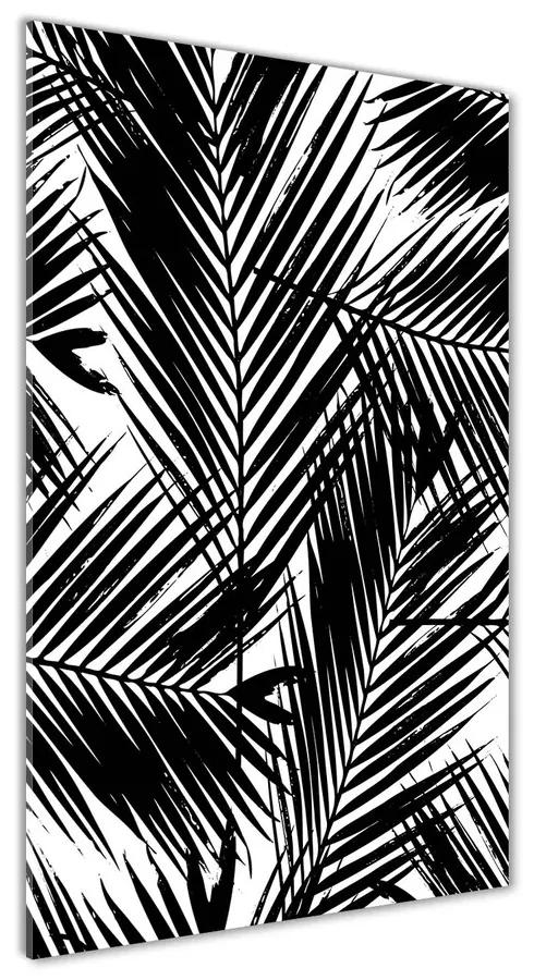 Wallmuralia Moderní akrylový fotoobraz Listí palmy 60x120 cm