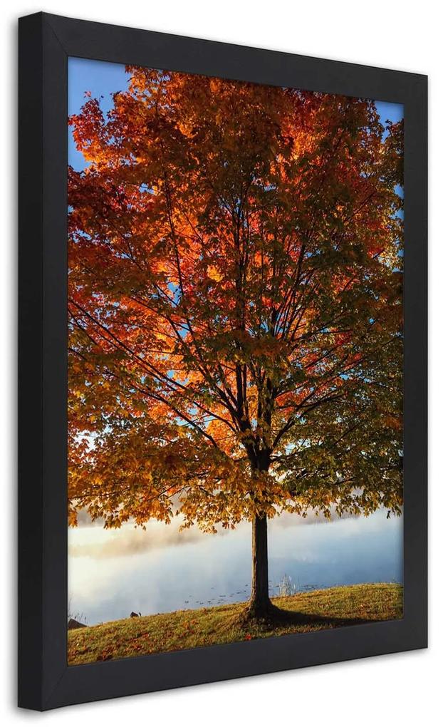 Gario Plakát Podzimní strom Barva rámu: Černá, Rozměry: 20 x 30 cm