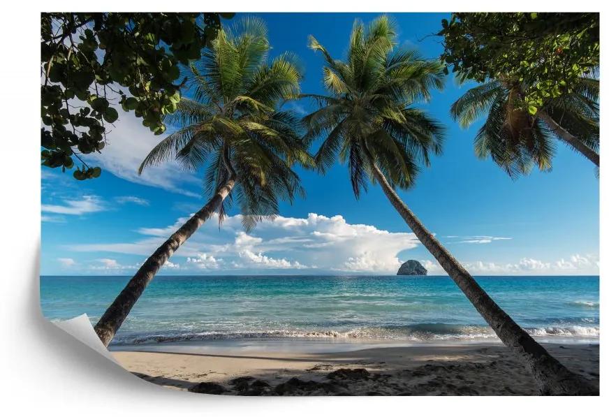 Fototapeta Plážové Oceánské Palmy Strukturální vinyl 312x219
