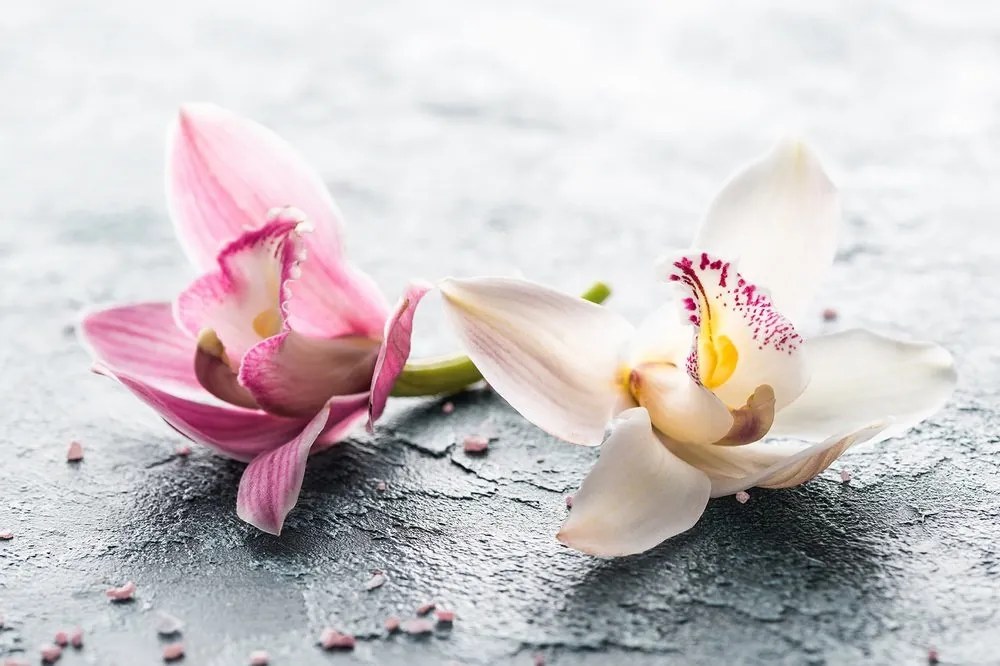 Tapeta krásné květiny orchideje - 150x100 cm