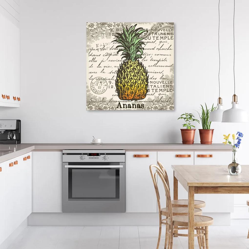 Obraz na plátně, Vintage ananas - 60x60 cm