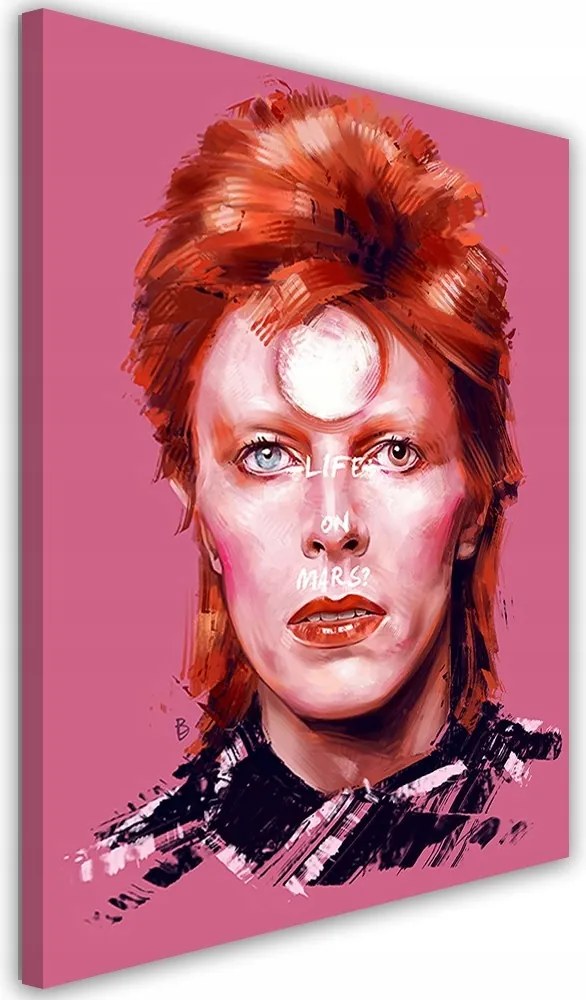 Obraz na plátně, Portrét Davida Bowieho 40x60