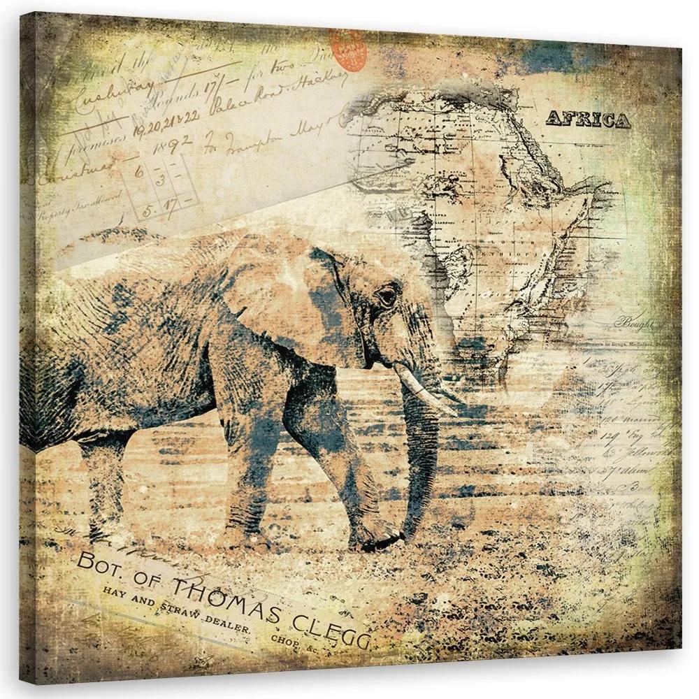 Gario Obraz na plátně Slon a stará mapa Afriky - Andrea Haase Rozměry: 30 x 30 cm