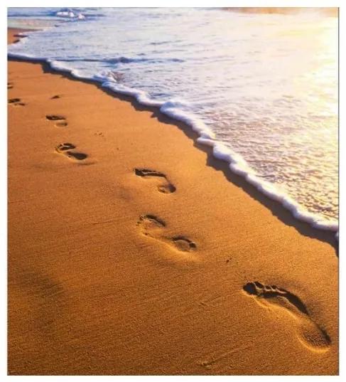 DIMEX | Vliesová fototapeta na zeď Stopy na pláži MS-3-0193 | 225 x 250 cm | hnědá, bílá