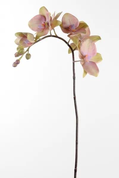 Animadecor Umělá květina - Orchidea star.růžová