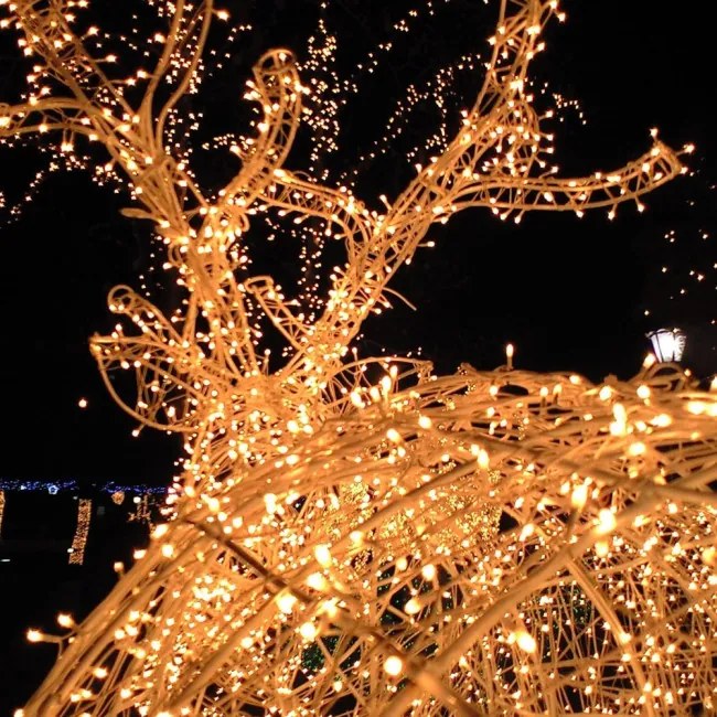 Dekorační světélka 192 LED bílé