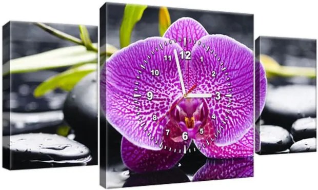 Tištěný obraz s hodinami Orchidea 80x40cm ZP1159A_3AX