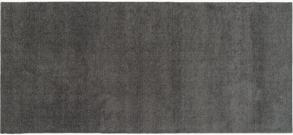 Běhoun Unicolor