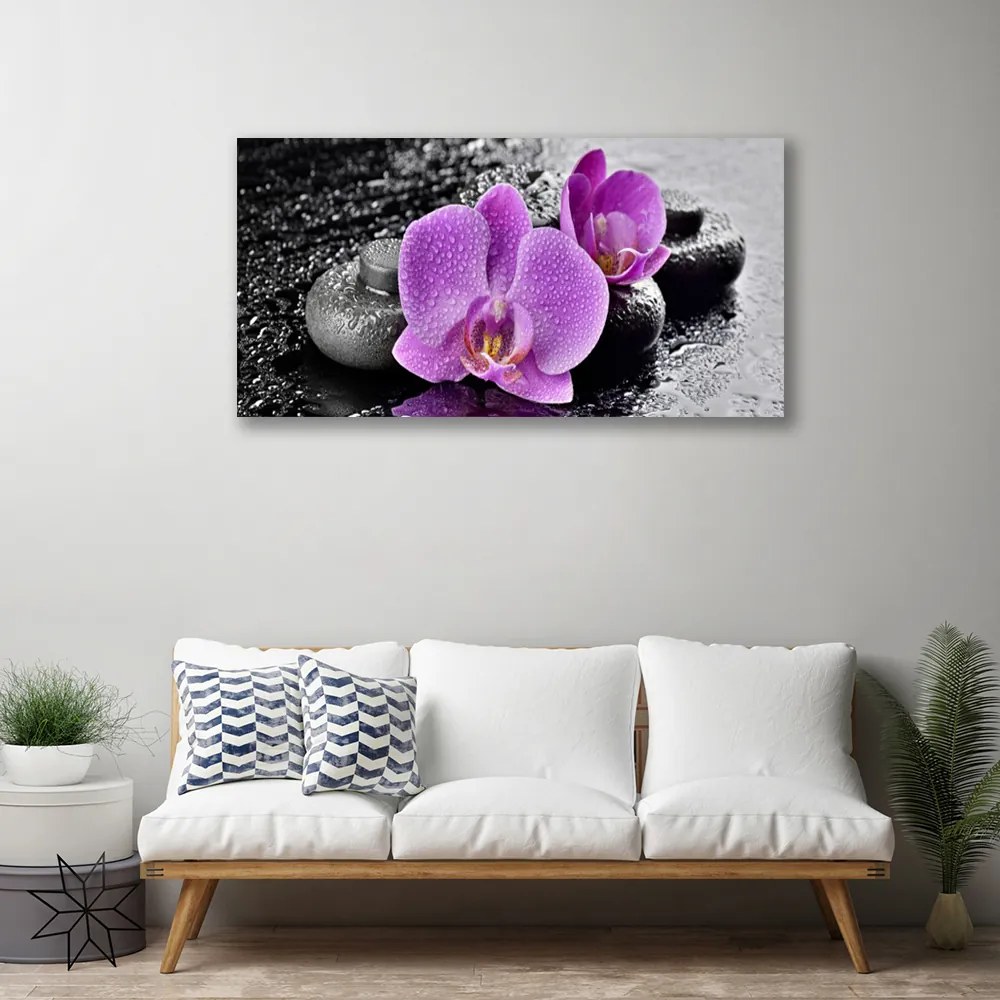 Obraz na plátně Orchidej Květiny Kameny Zen 100x50 cm