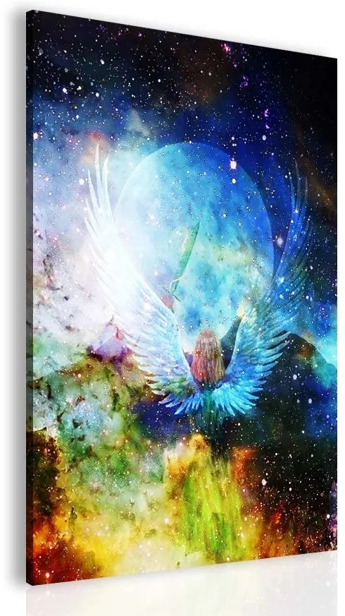 Obraz vesmírný anděl Velikost (šířka x výška): 25x30 cm