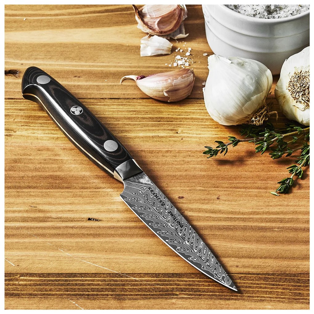 Zwilling Kramer Euroline nůž špikovací 10 cm, 34890-101