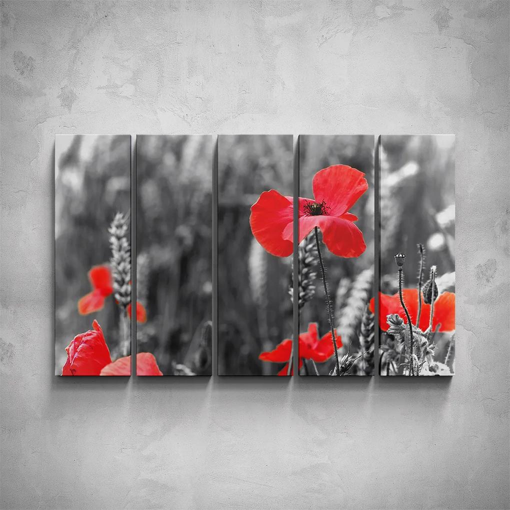 5-dílný obraz - Červené květy máku - PopyDesign