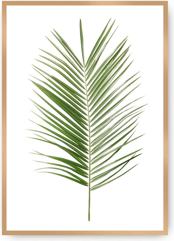 Plakát Palm Leaf Green