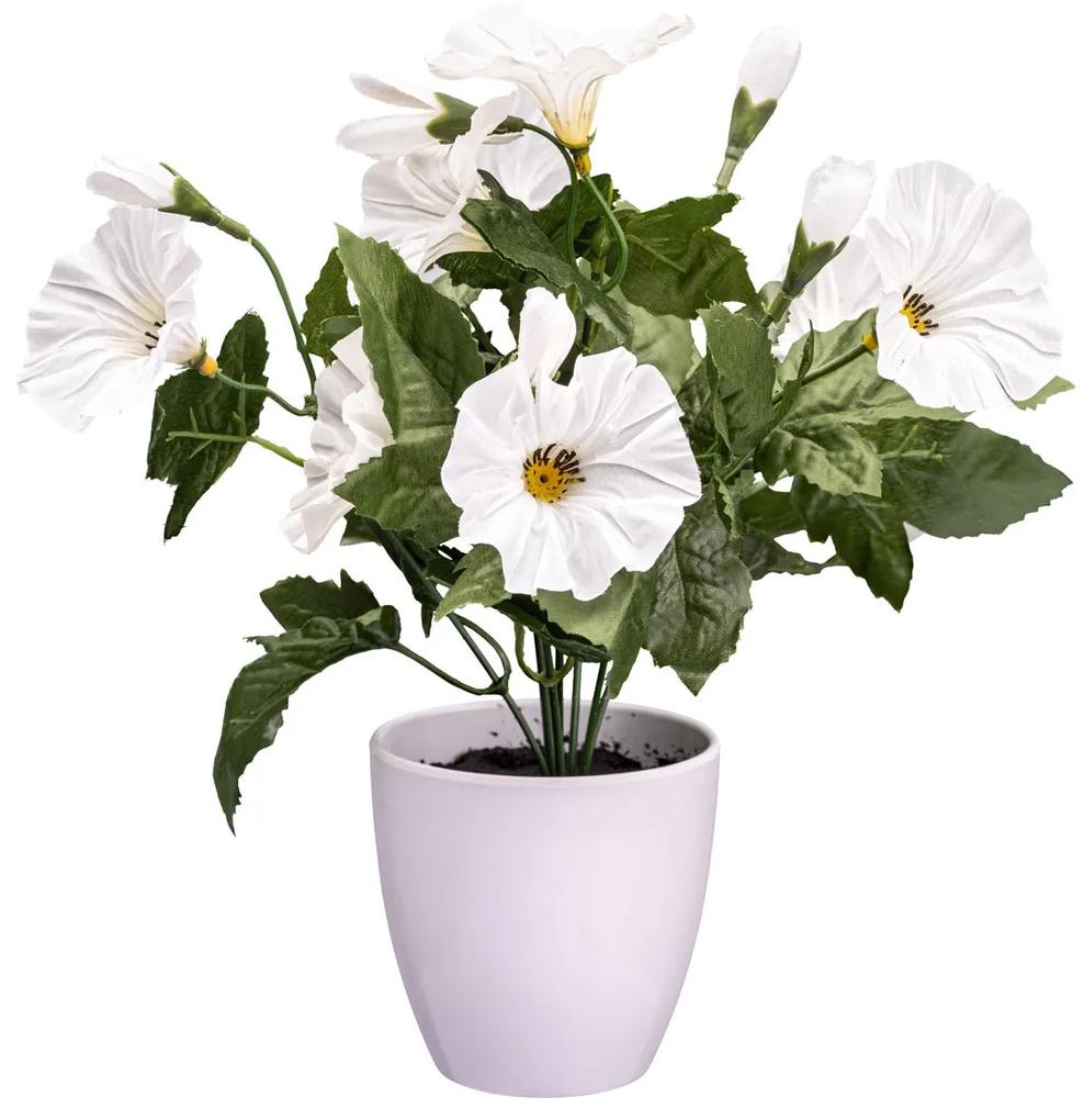 Gasper Umělá květina Petunie, bílá