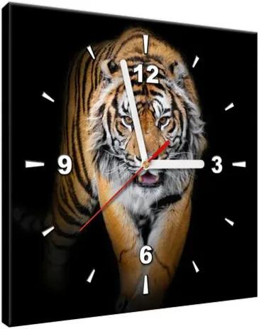 Tištěný obraz s hodinami Silný tygr 30x30cm ZP2358A_1AI