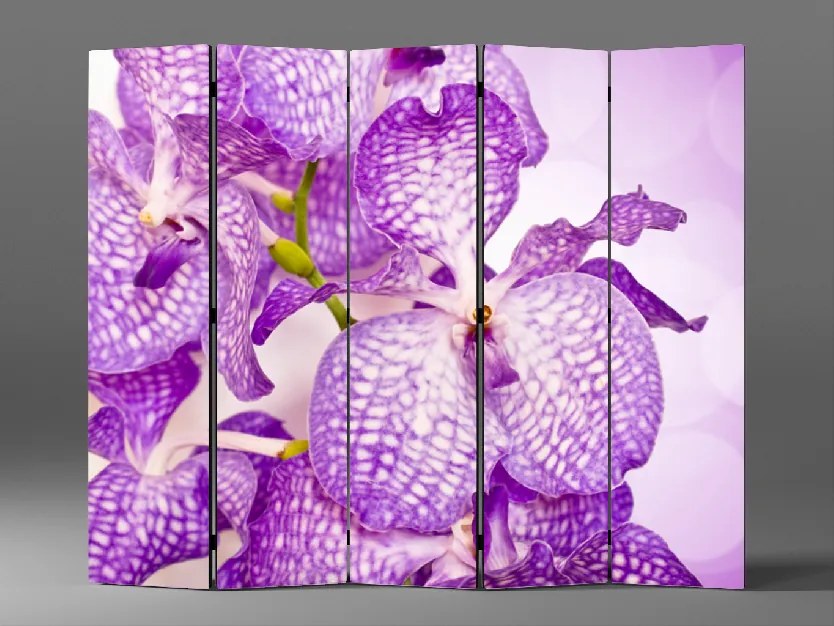 Paraván fialová orchidej Rozměr: 225 x 180 cm