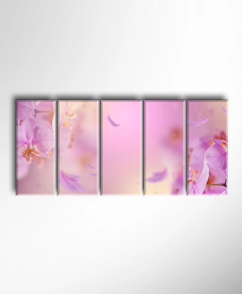 Malvis ® Obraz rozkvetlá orchidej ROZMĚR (šířka x výška): třídílný obdélník 120x80 cm