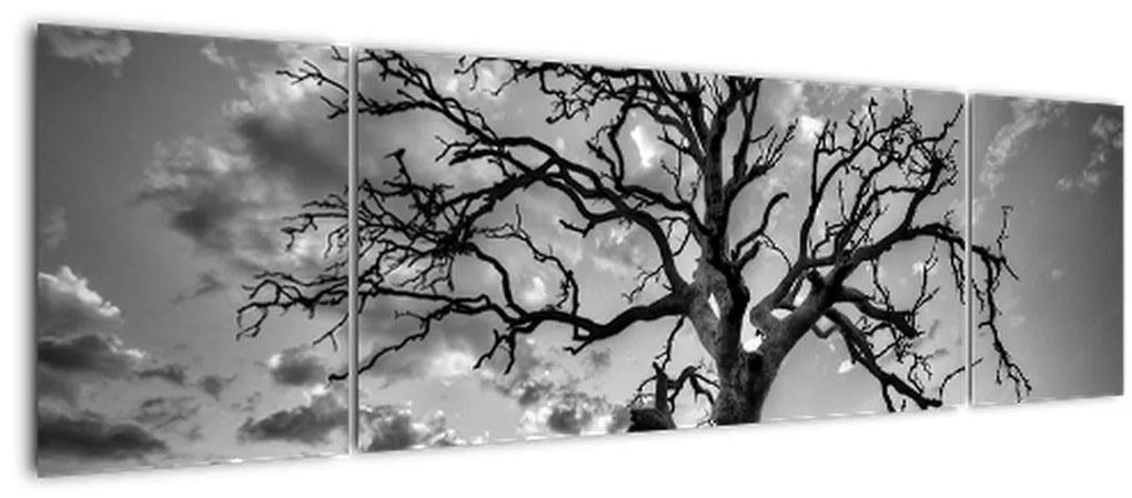 Obraz - Černobílý strom (170x50 cm)