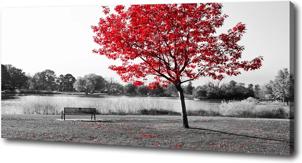 Foto obraz na plátně Červený strom