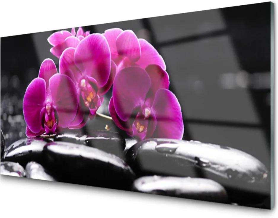 Plexisklo obraz Kameny Zen Orchidej Lázně