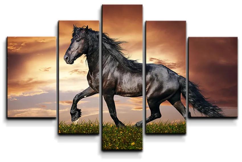 Sablio Obraz - 5-dílný Friský kůň - 125x90 cm