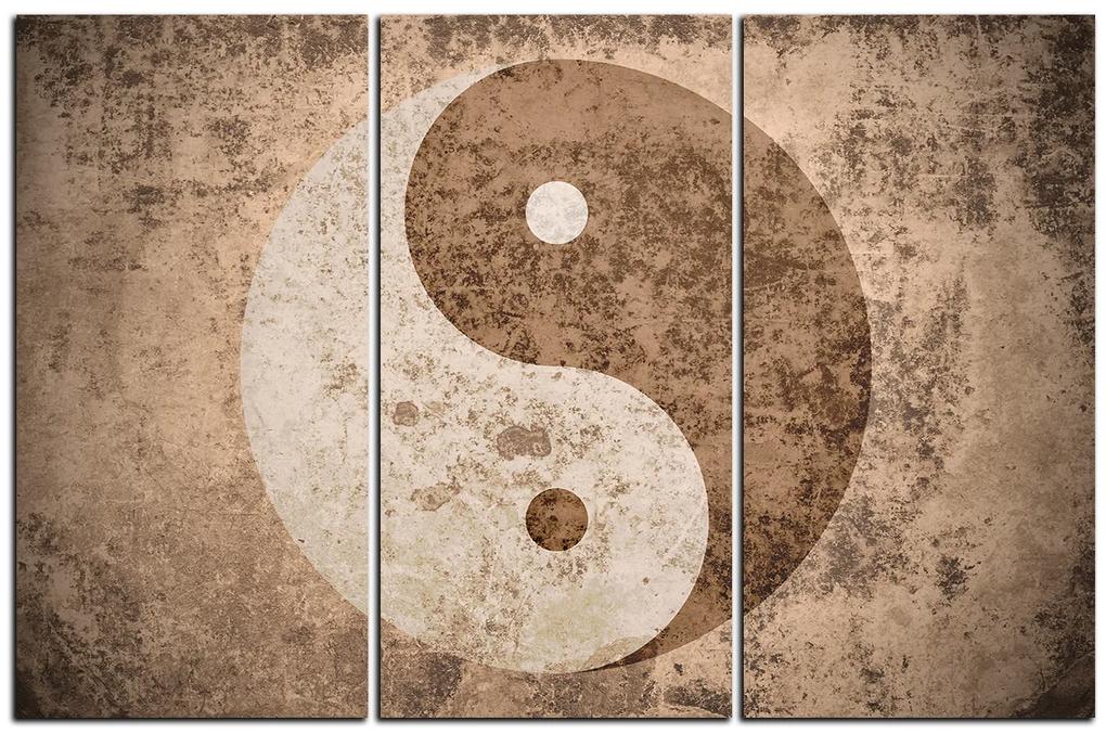 Obraz na plátně - Jin a jang symbol 1170B (135x90 cm)