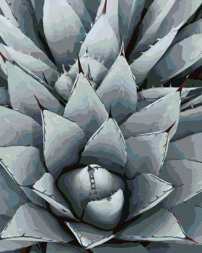 zuty zuty - malování podle čísel - kaktus agave, 80x100 cm, plátno+rám