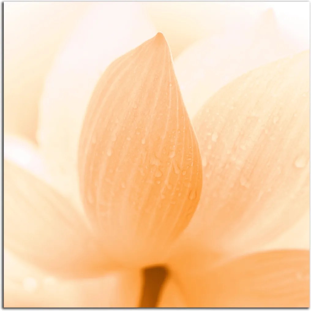 Obraz Detail květu , vícedílný