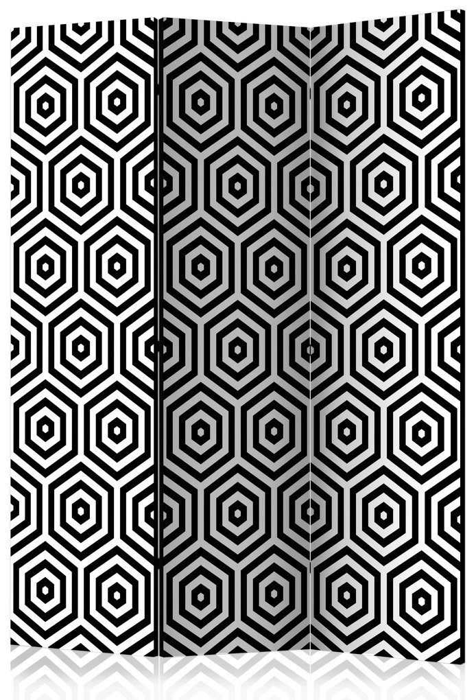 Artgeist Paraván - Black and White Hypnosis [Room Dividers] 135x172