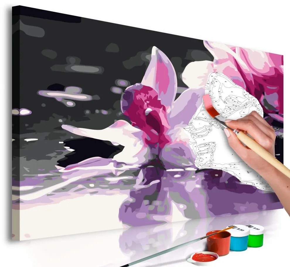 Bimago Malování podle čísel - Pink Orchid (Detail) | 60x40 cm