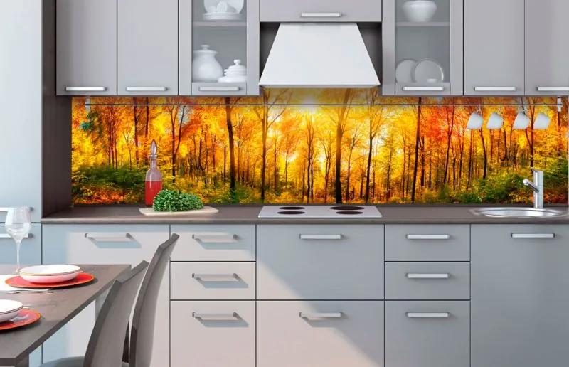 Samolepící fototapeta do kuchyně - Prosluněný les, 260x60cm, 084