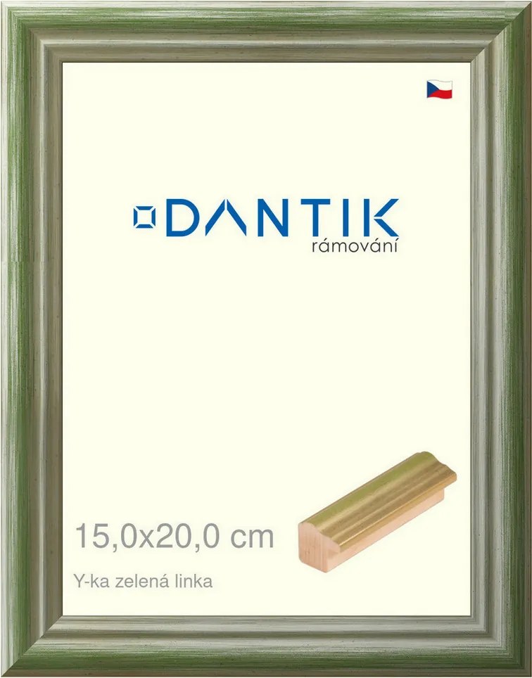 DANTIK rámeček 15x20 | Y-ka zelená linka (Sklo Čiré)