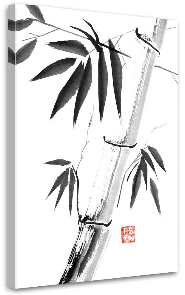 Gario Obraz na plátně Černobílý bambus - Péchane Rozměry: 40 x 60 cm