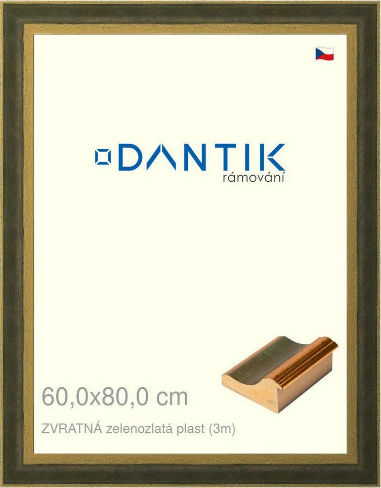 DANTIK rámeček 60x80 | ZVRATNÁ zelenozlatá plast (Plexi Čiré)