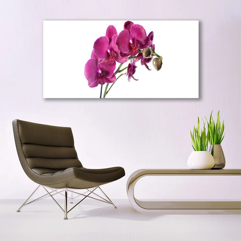 Plexisklo-obraz Orchidej Květiny Příroda 120x60 cm