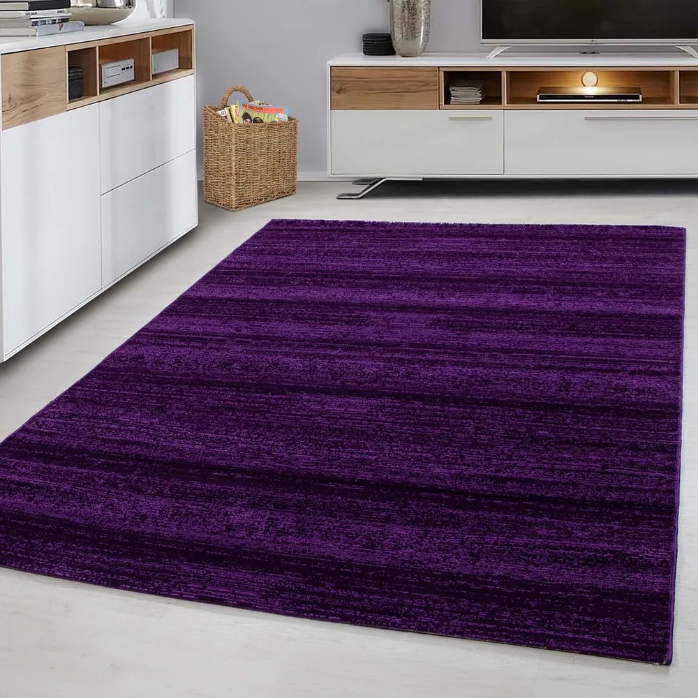 Tmavě fialový koberec 80x150 cm Plus – Ayyildiz Carpets