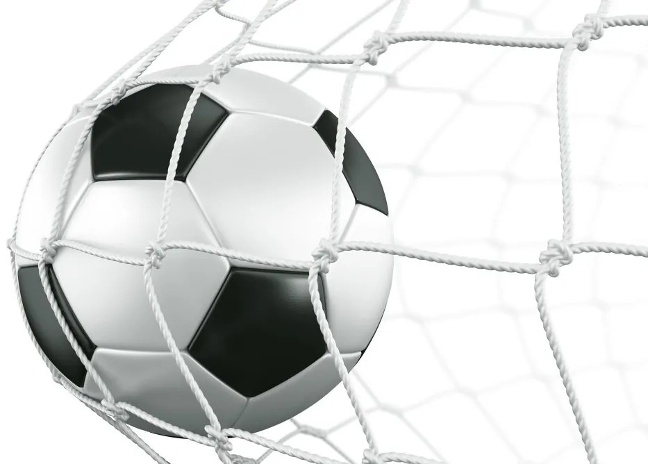 Fototapeta 3D Fotbalový Míč V Síti Omyvatelný vlies 104x70.5