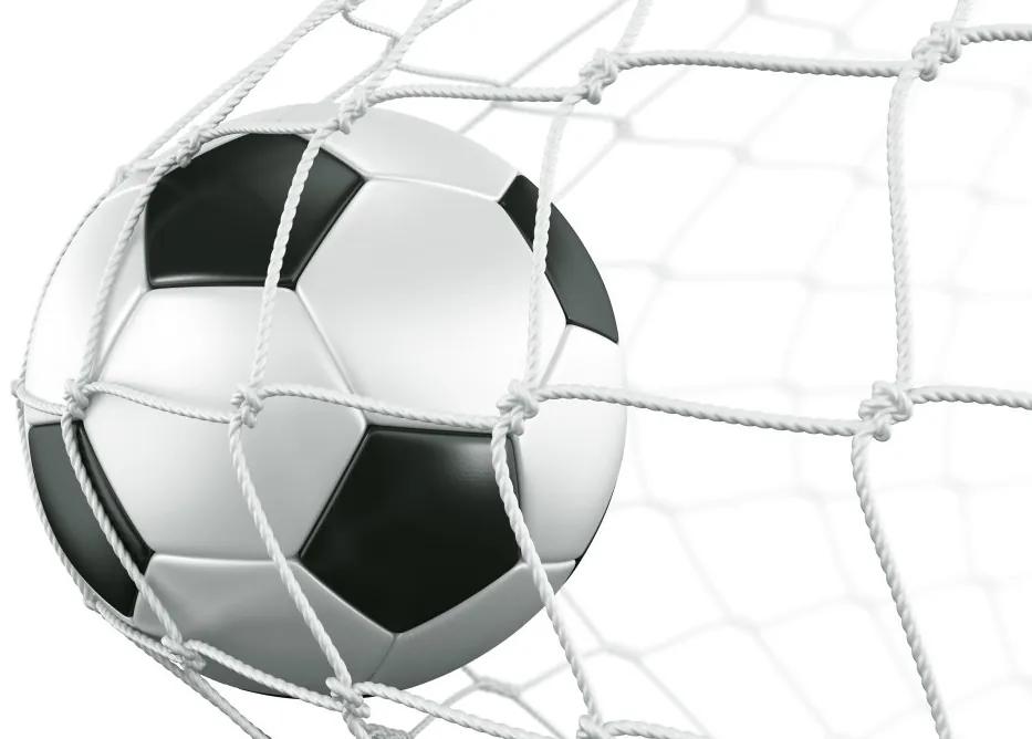 Fototapeta 3D Fotbalový Míč V Síti Omyvatelný vlies 152.5x104