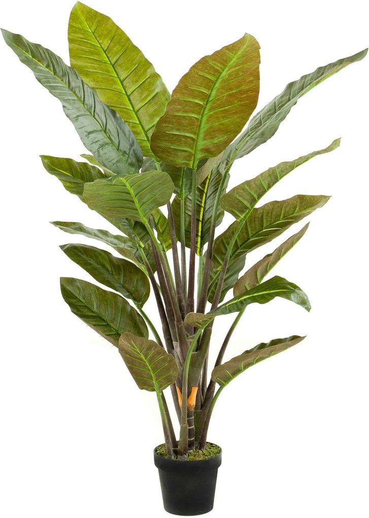 Strelitzia umělá V 135 cm