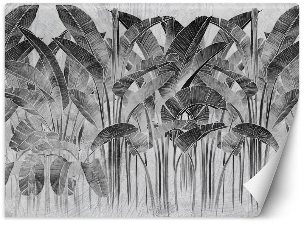 Gario Fototapeta Banánové listy v černé a bílé barvě Materiál: Vliesová, Rozměry: 200 x 140 cm