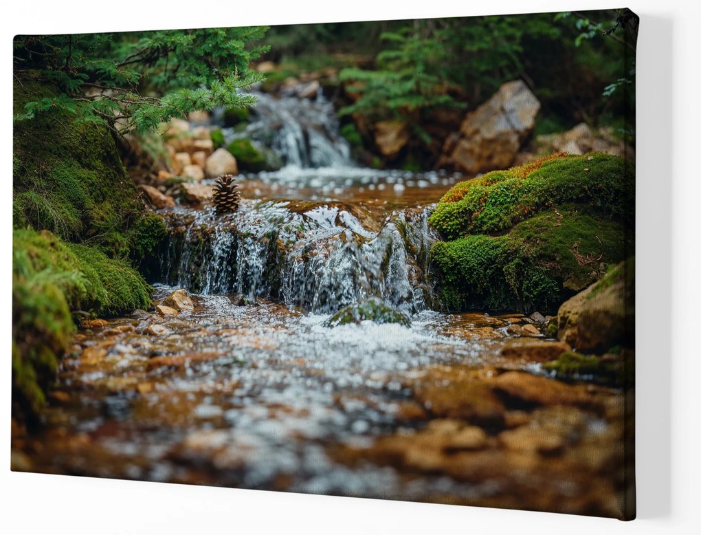 Obraz na plátně - Malý vodopád s šiškou a mechem FeelHappy.cz Velikost obrazu: 40 x 30 cm