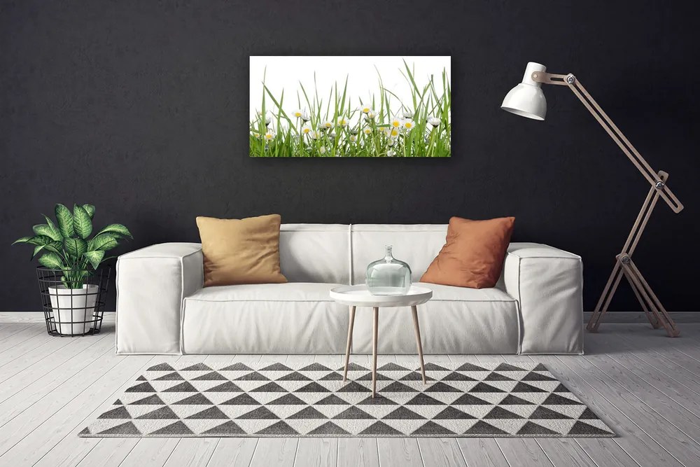 Obraz na plátně Tráva Sedmikrásky Příroda 140x70 cm