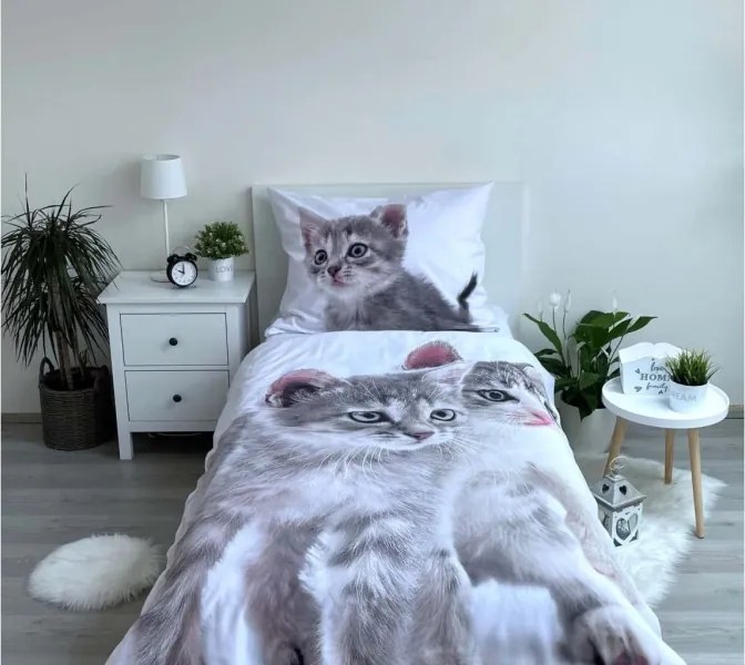 Jerry Fabrics Povlečení fototisk Kitten grey 140x200, 70x90 cm