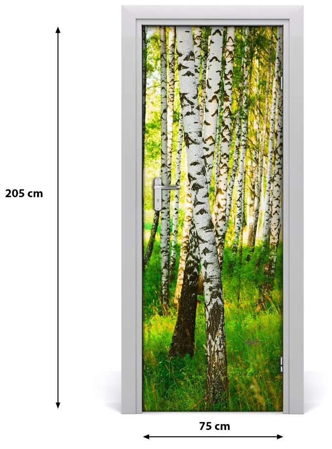 Fototapeta na dveře samolepící břízový les 75x205 cm