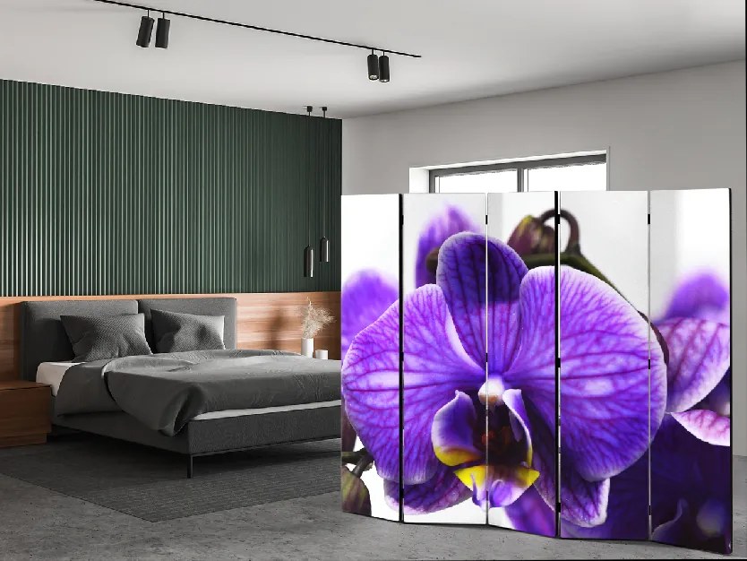 Paraván orchidej na bílém pozadí Rozměr: 225 x 180 cm